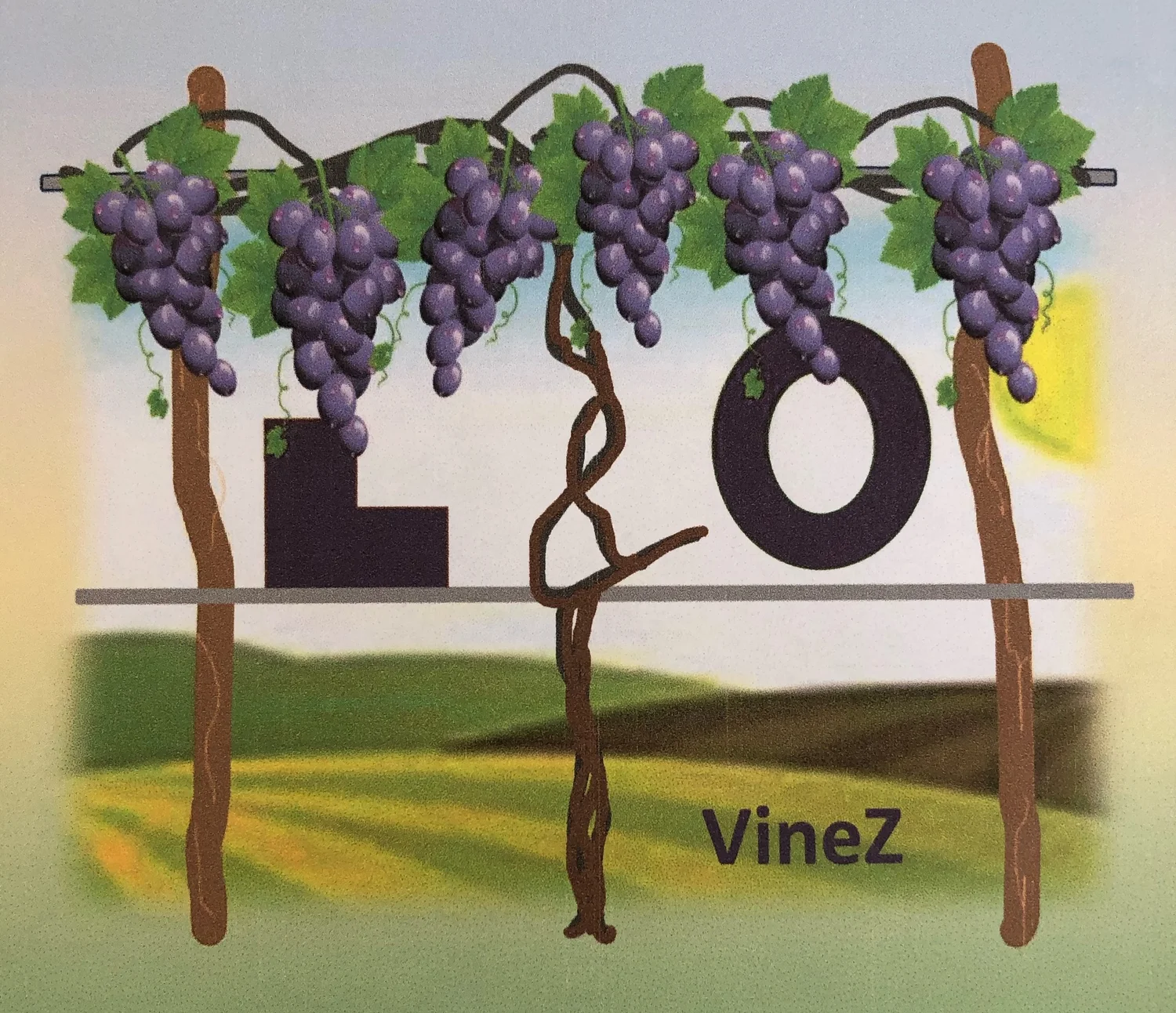 About — L & O VineZ