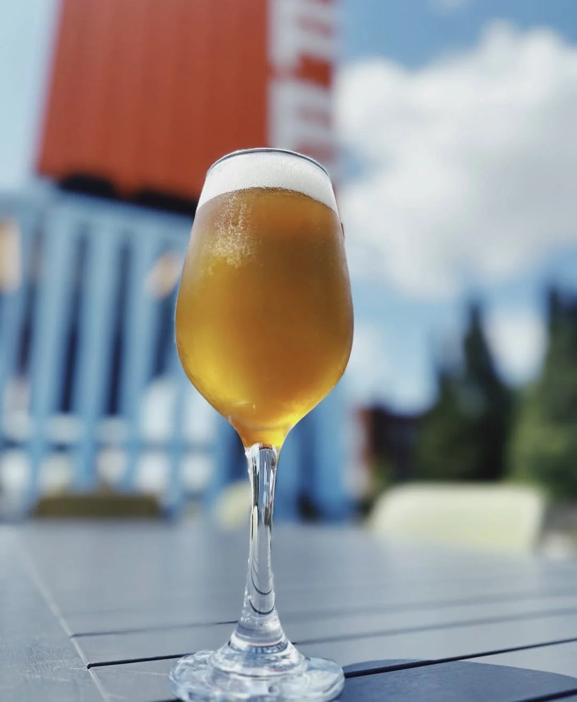 The Grove Taproom & Brewery — Rockwell Beer Company