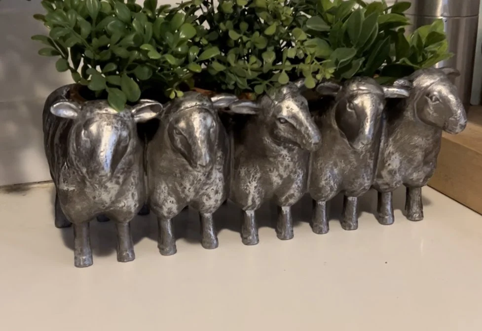 Blog 2 — FLEA MARKET RESCUE