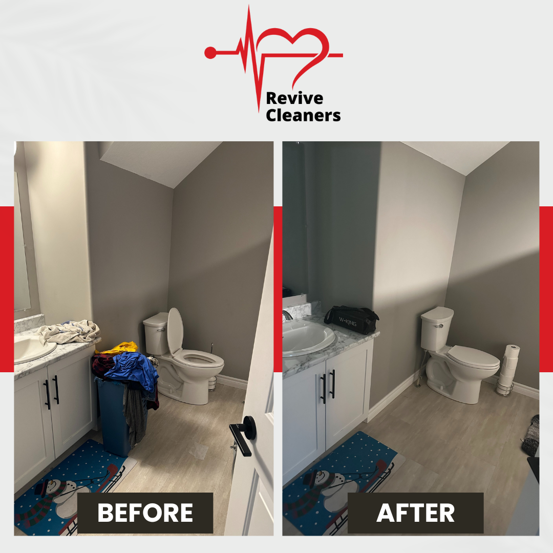 Revive Cleaners | Professional House Cleaning Services
