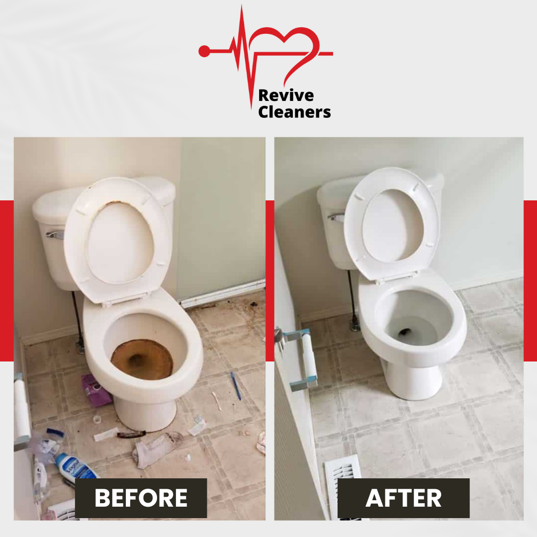 Revive Cleaners | Professional House Cleaning Services