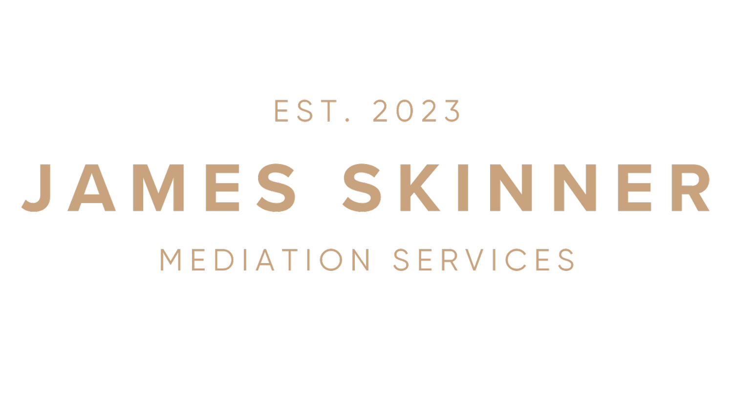 James Skinner Mediator