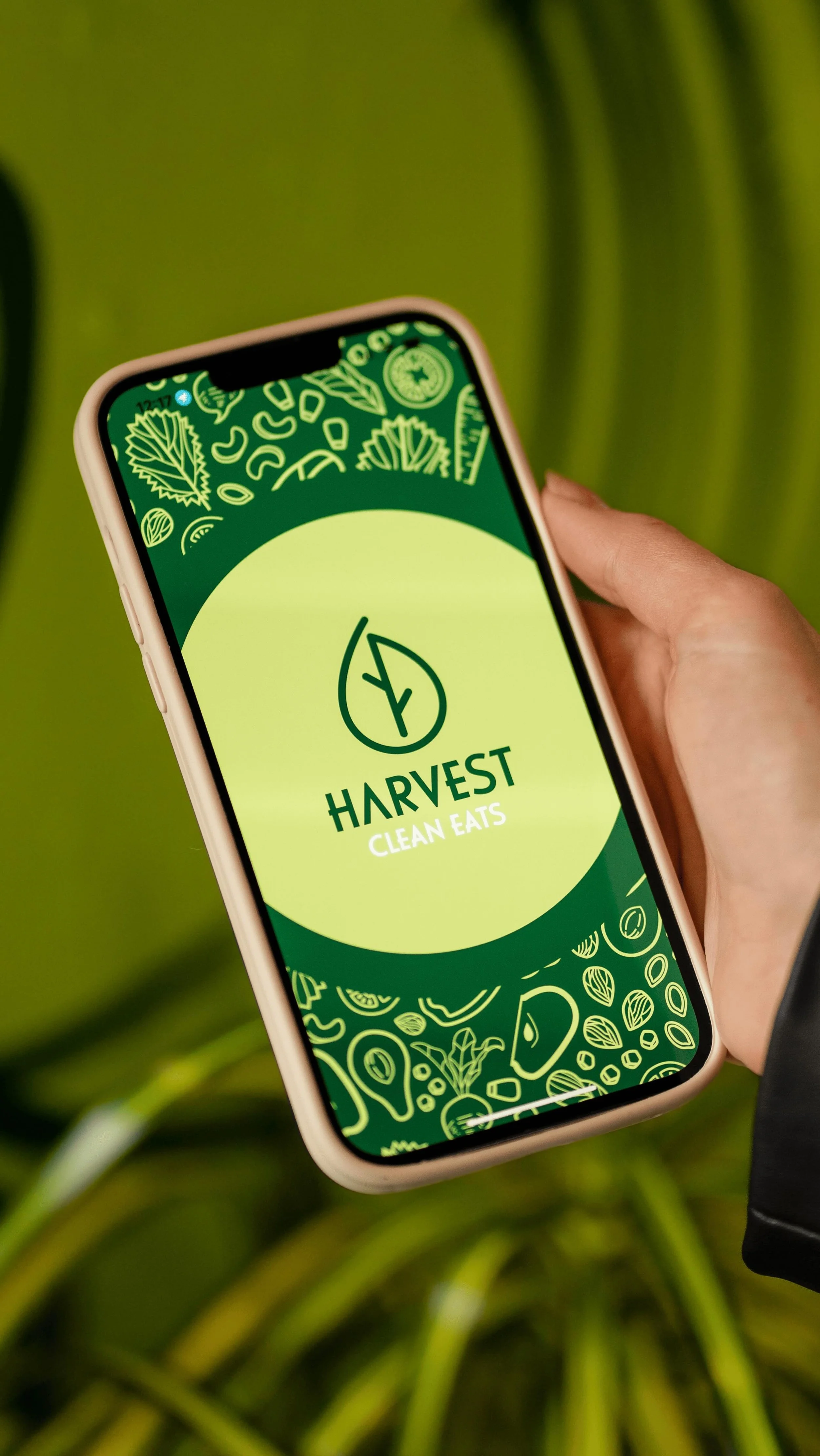 Real Food Made From Scratch | HARVEST Clean Eats