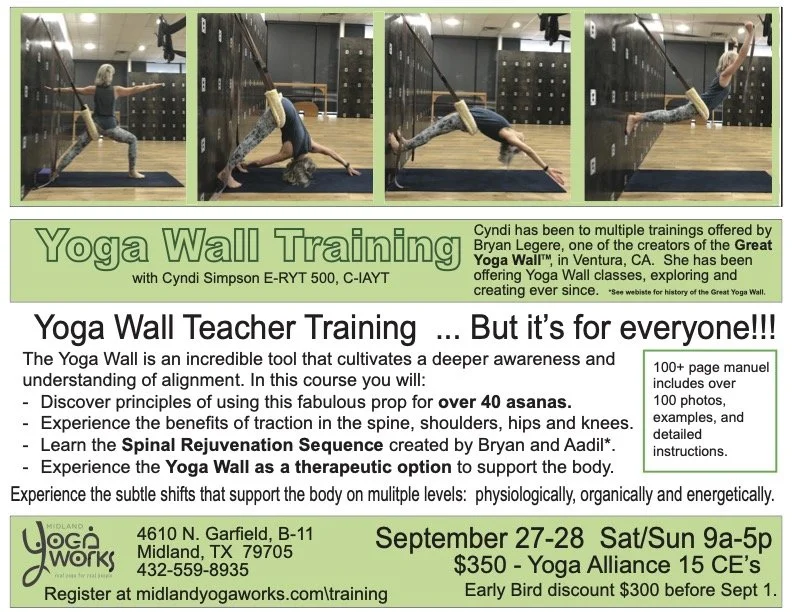 Yoga Wall Training — Midland Yoga Works New