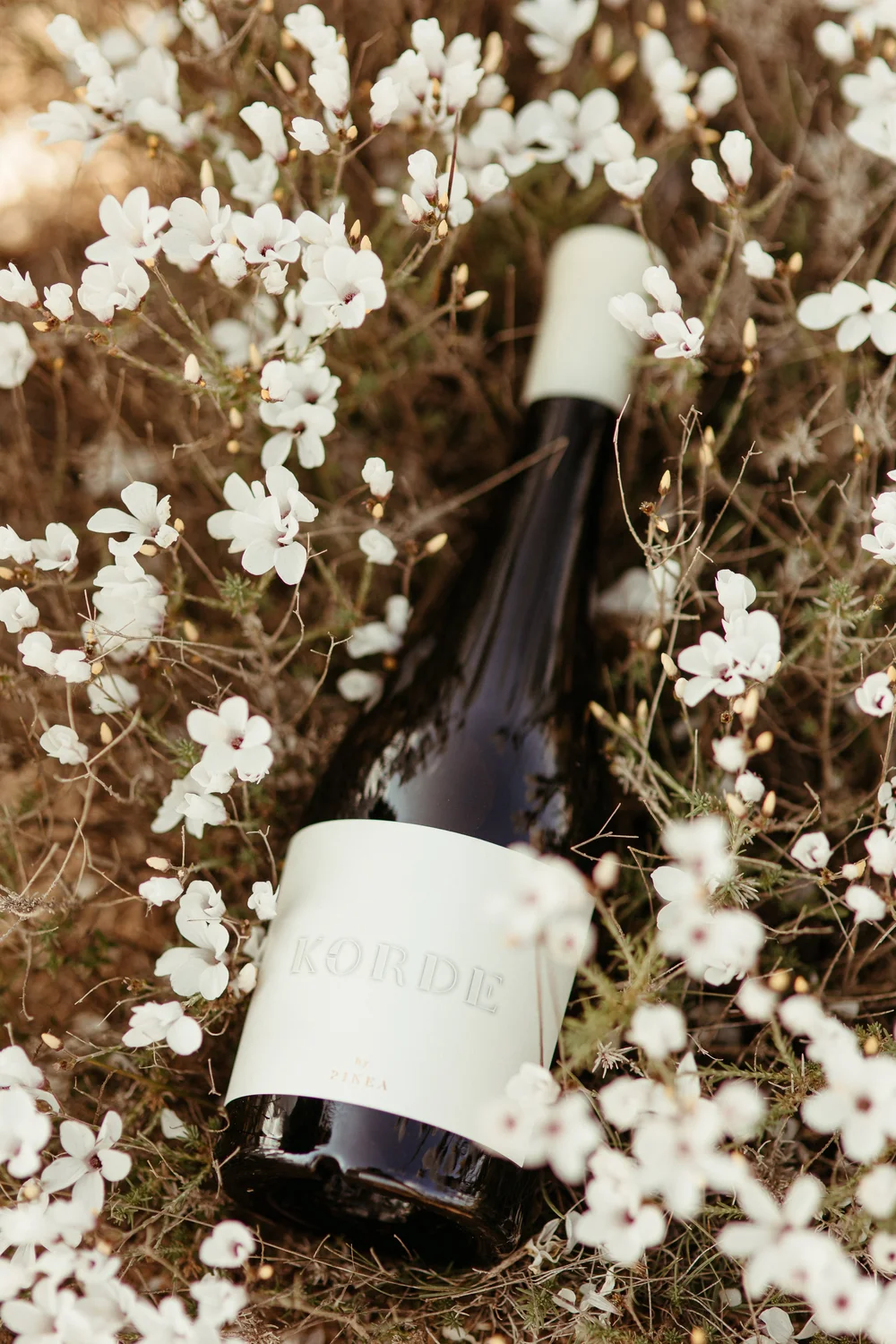 WINE MARKETPLACE — TASTE OF VAIL
