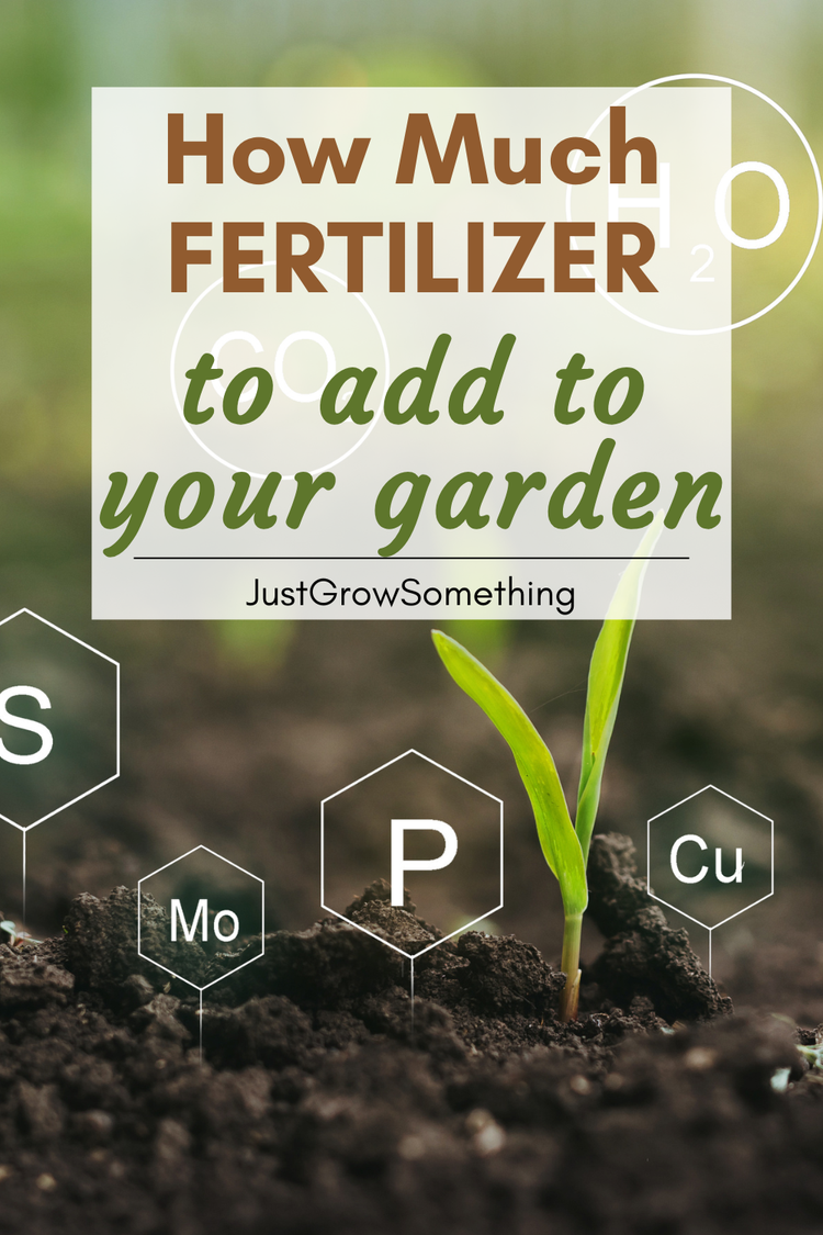 How Much Fertilizer to Add to Your Garden — Just Grow Something