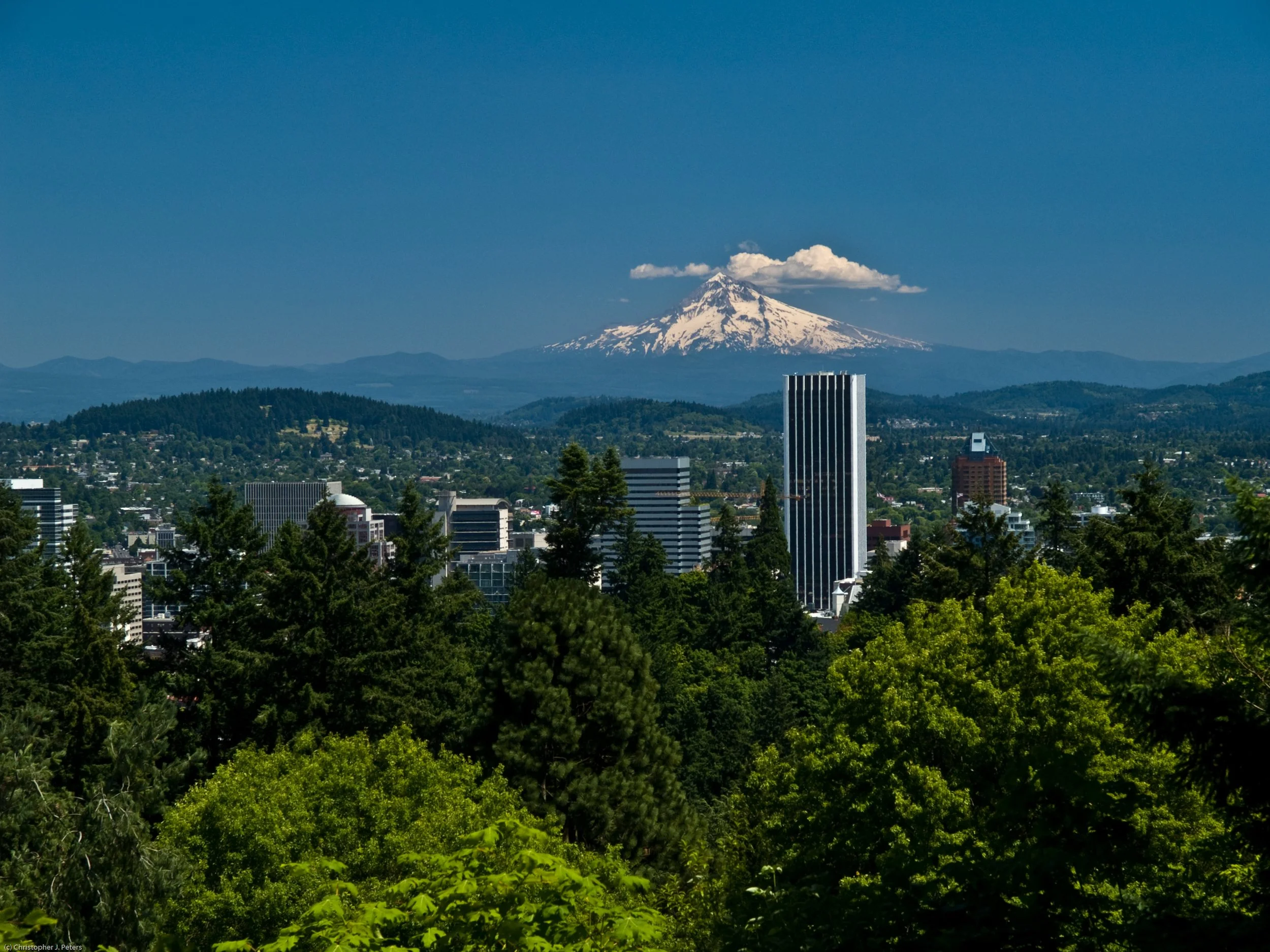 About OADL — Oregon Association of Dental Laboratories