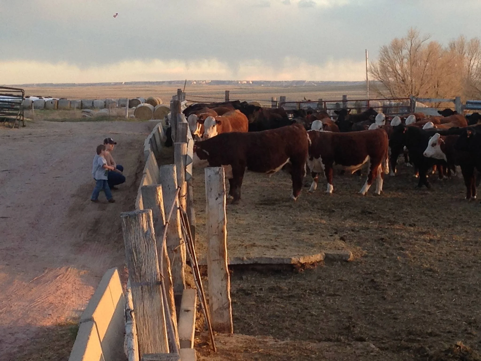 McClun's Lazy JM Ranch