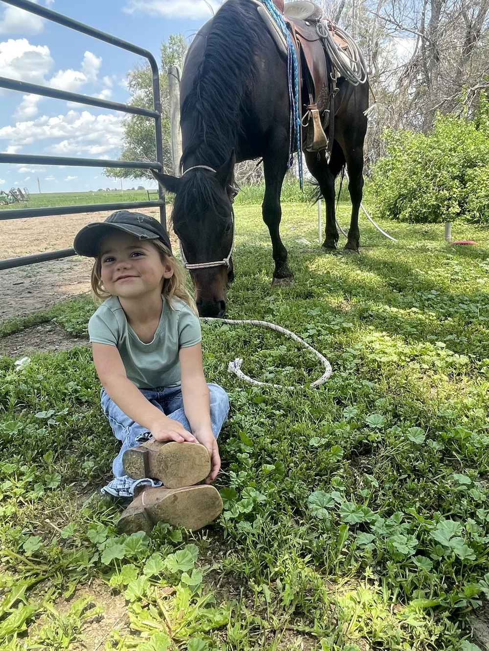 About Us — McClun's Lazy J M Ranch