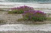 What is juxtaposition in photography — Angie Patterson Photography