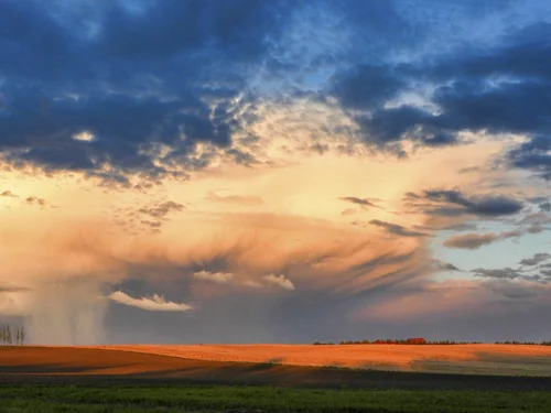 What is juxtaposition in photography — Angie Patterson Photography
