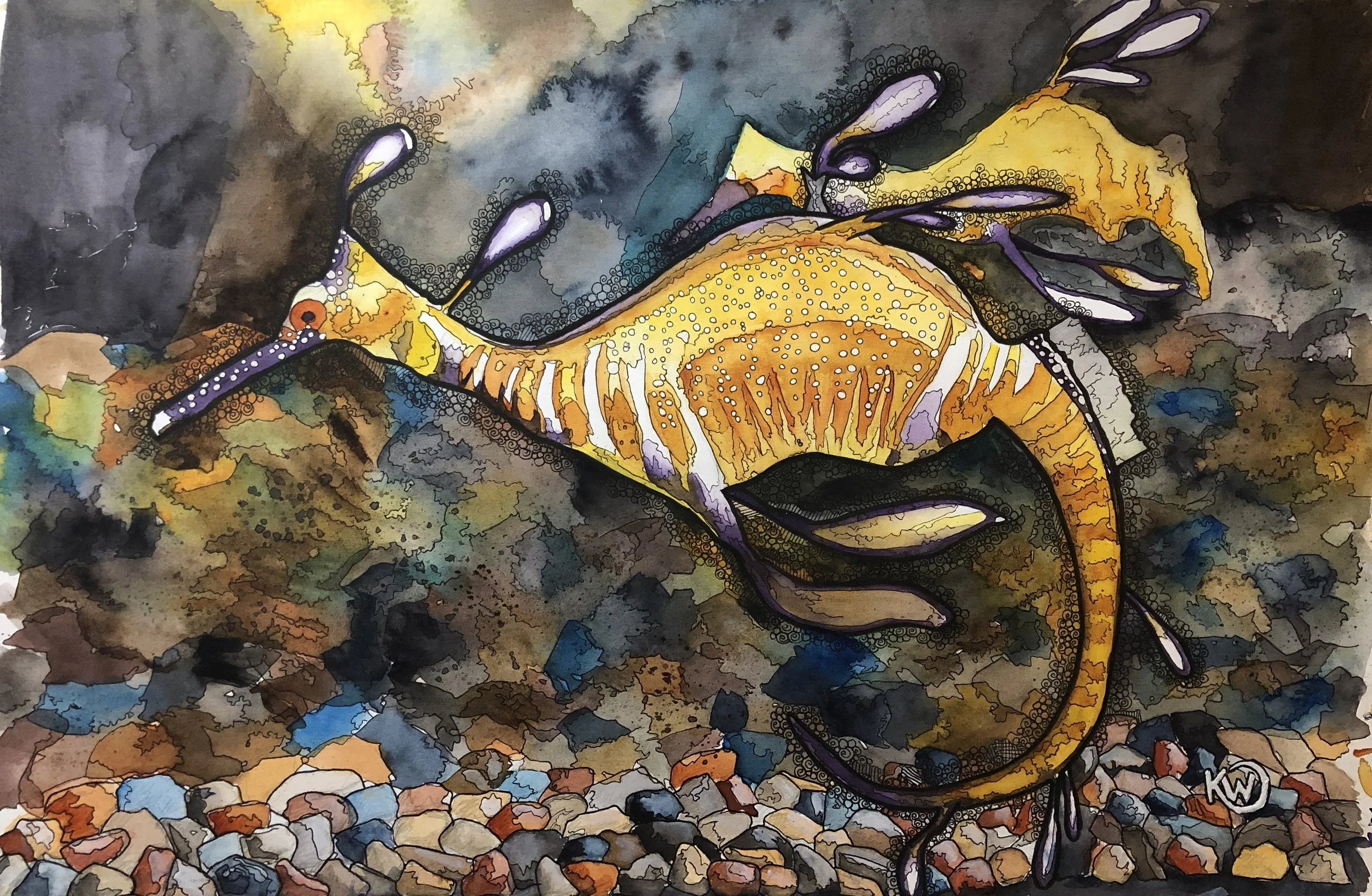 Leafy Sea Dragon 01 — WaterPlusInk Studios