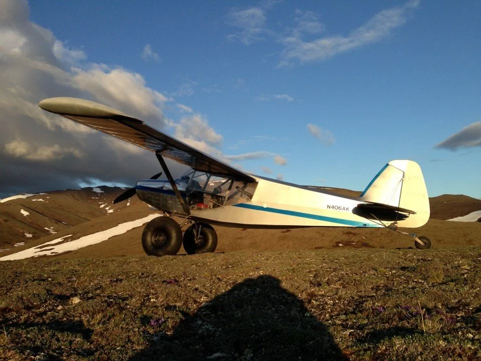 All Models — Bearhawk Aircraft