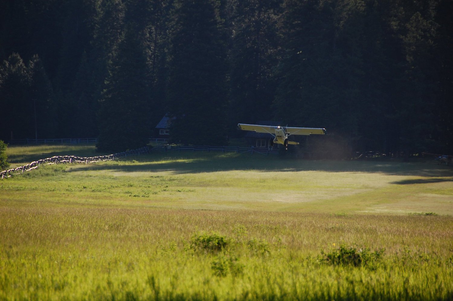 Service Alerts — Bearhawk Aircraft