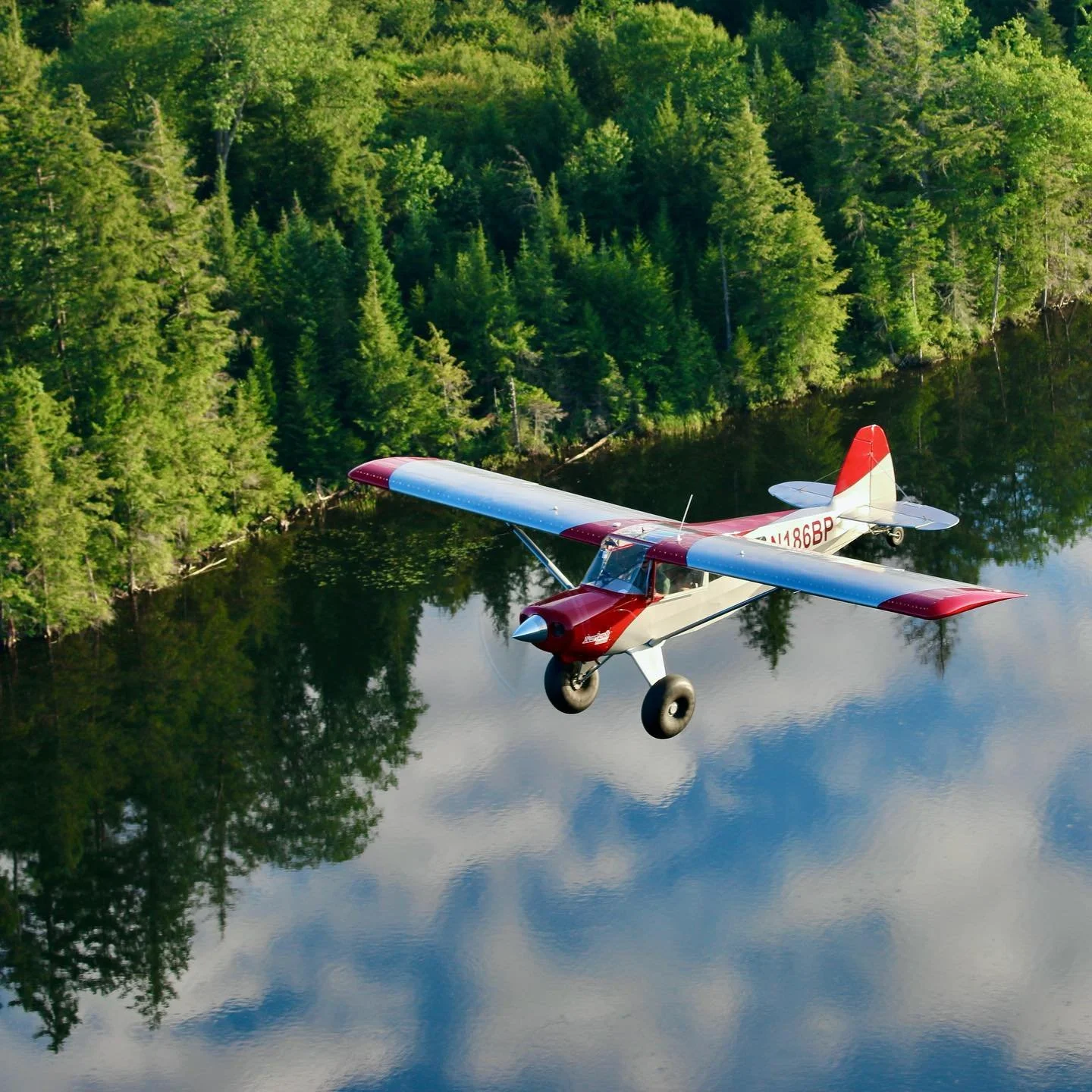 Patrol — Bearhawk Aircraft