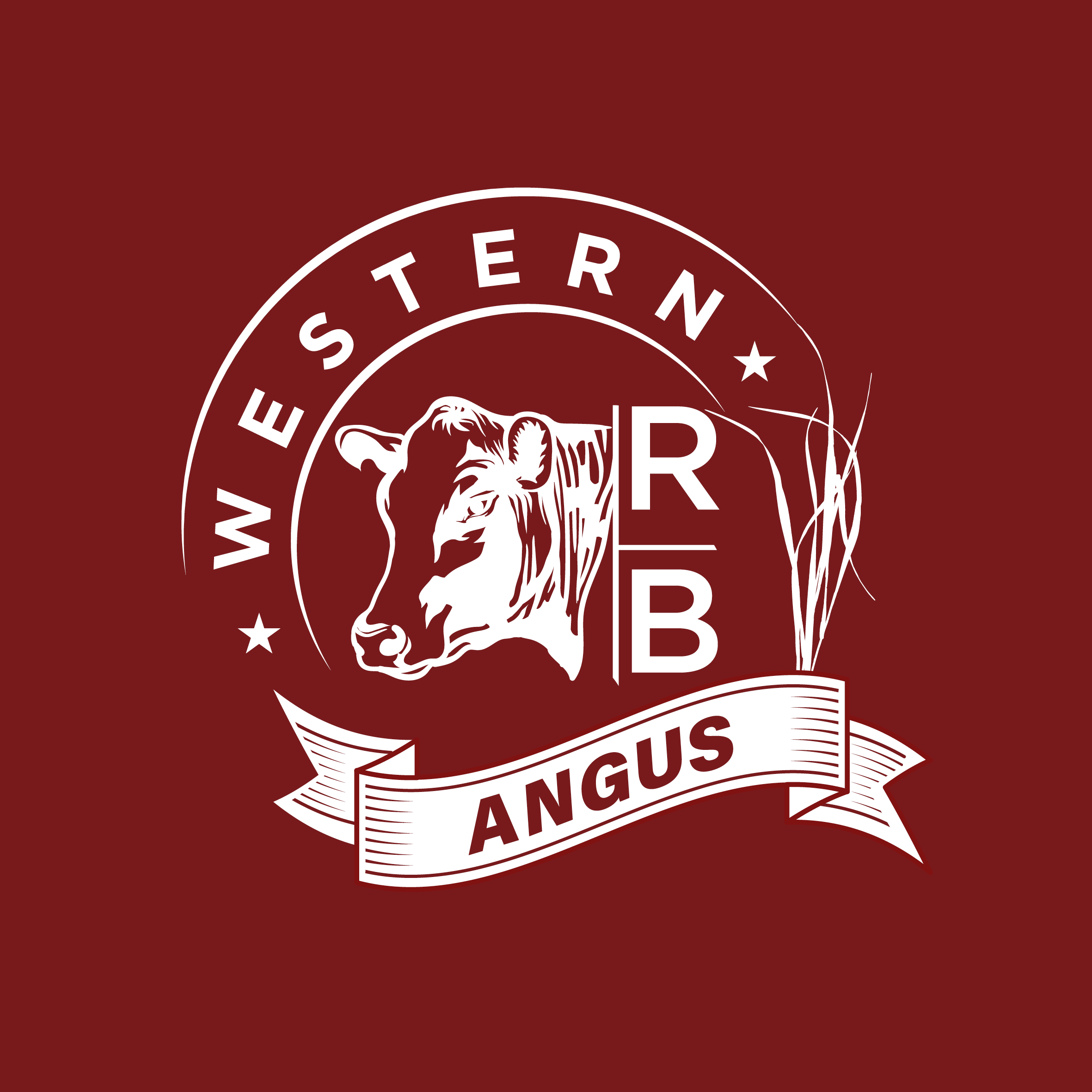 Western R B Angus