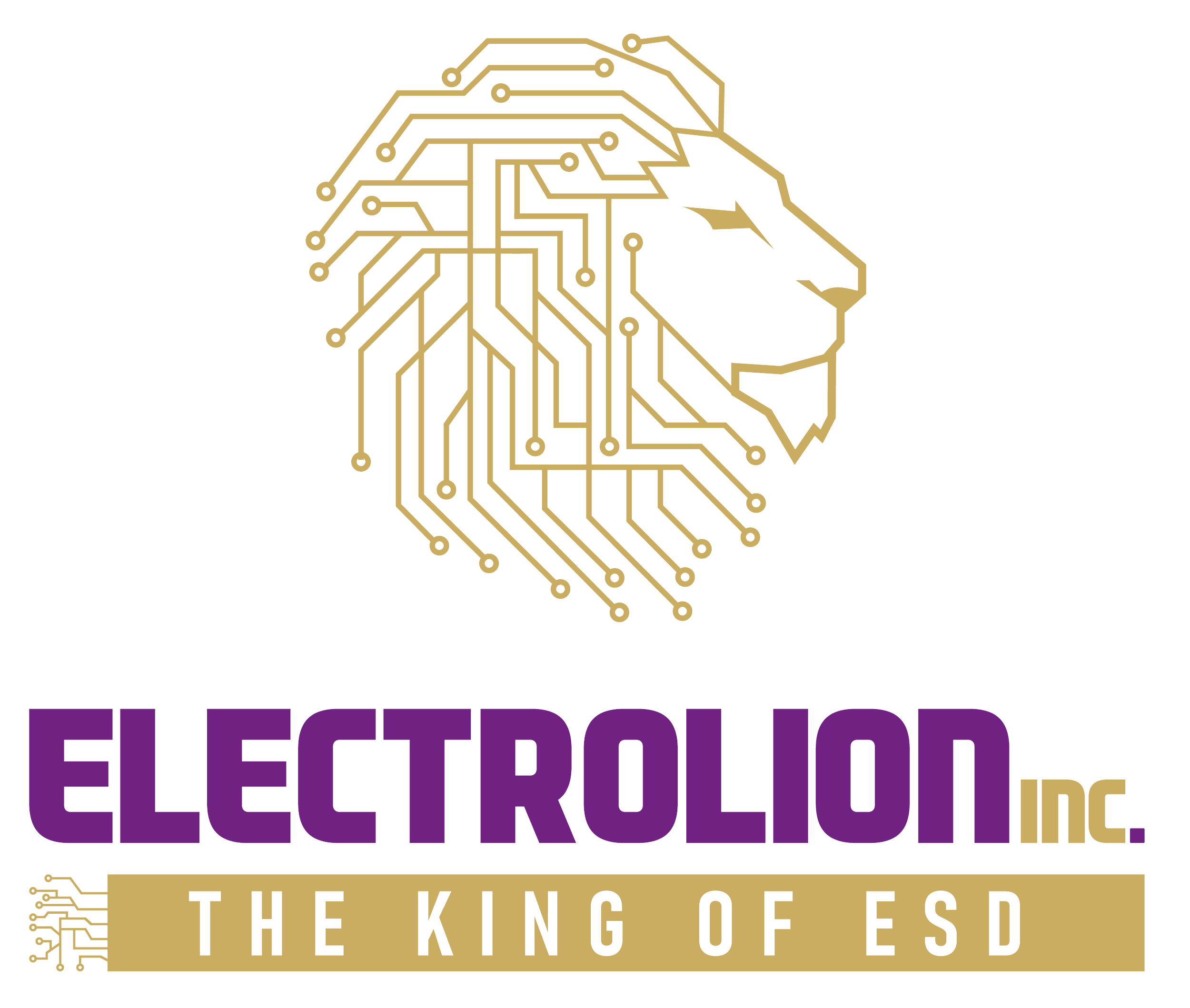 ESD 101: What is an EPA — ElectroLion Inc.