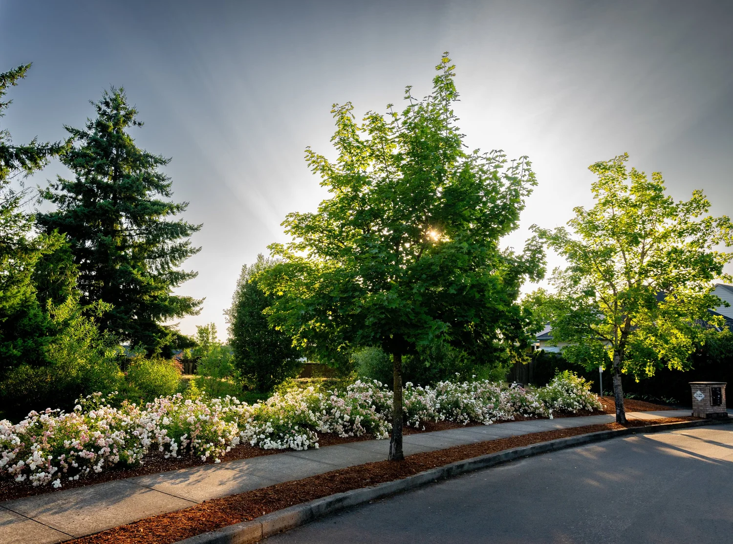 Osprey Landscape Group