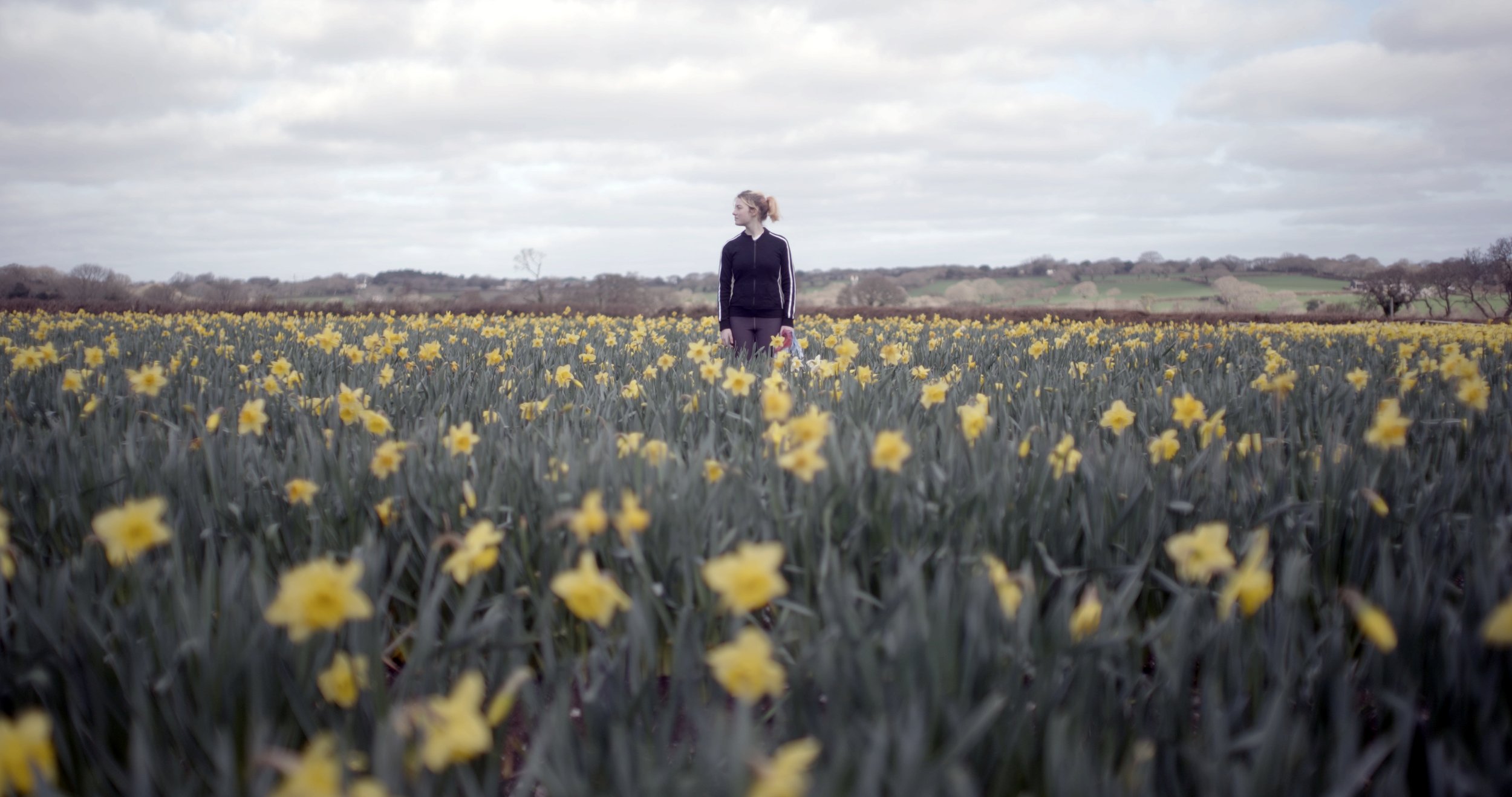 Cornish Screen Sector Growth — Screen Cornwall