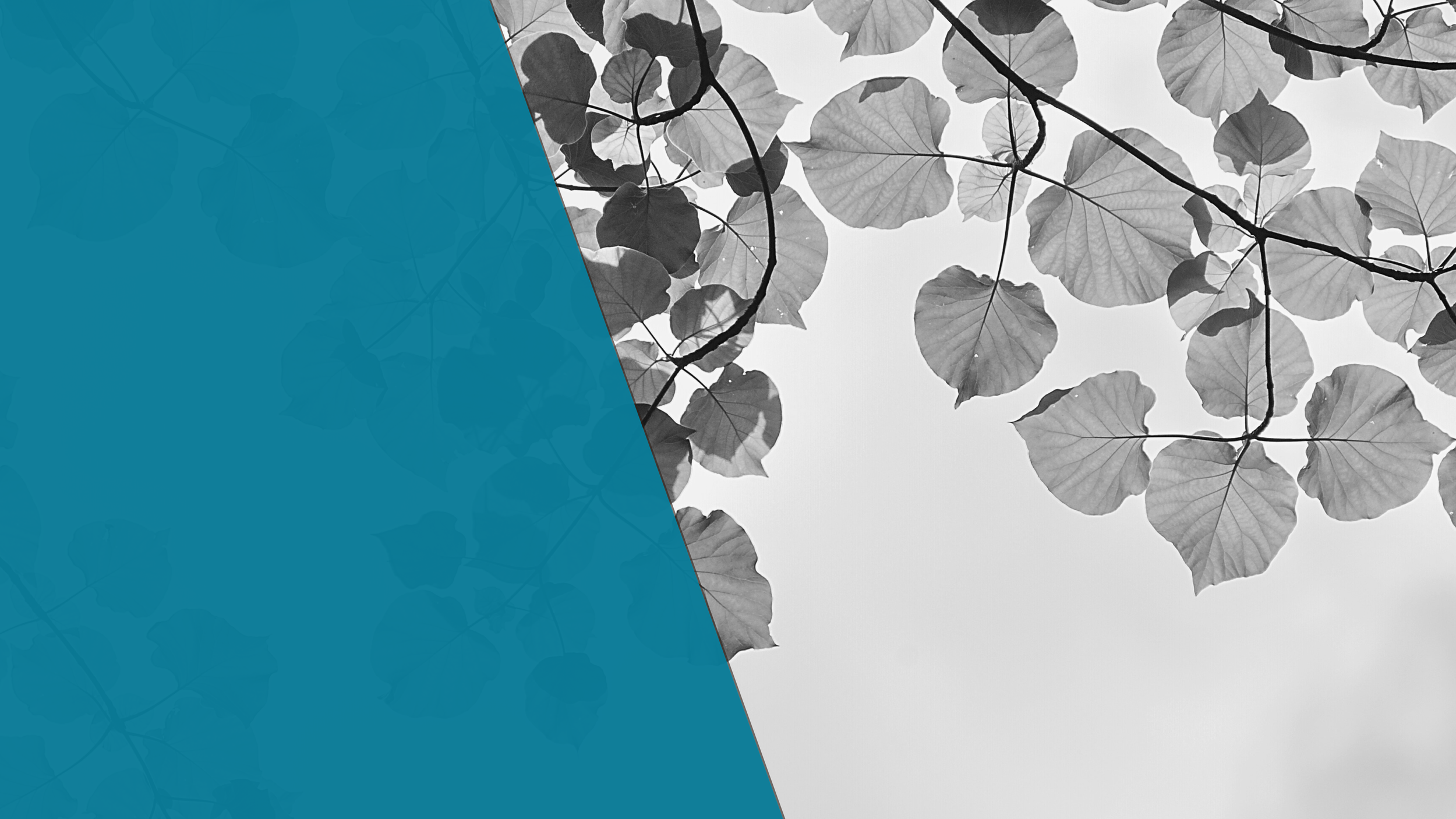 Environmental — Able Engineering