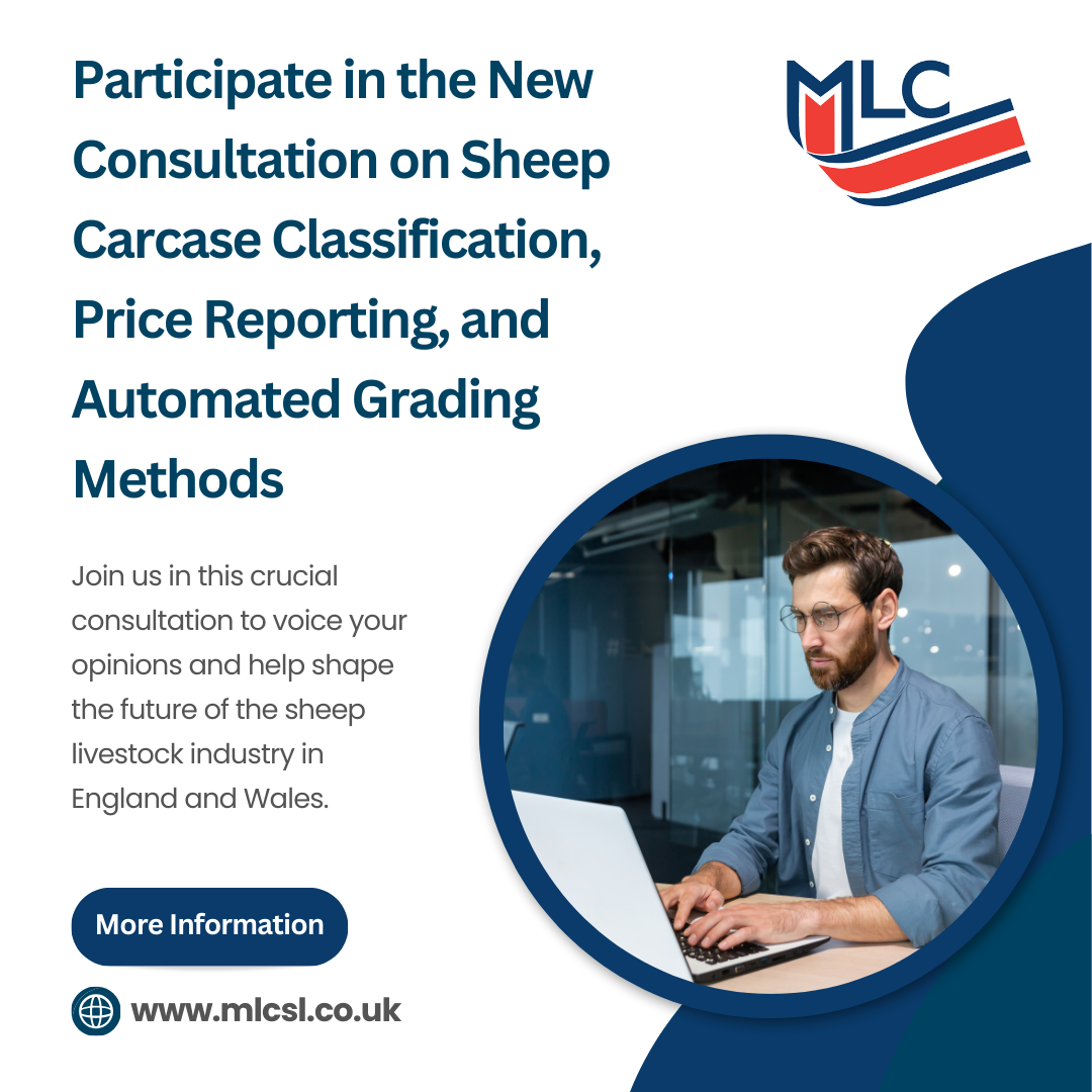 Participate in the New Consultation on Sheep Carcase Classification ...