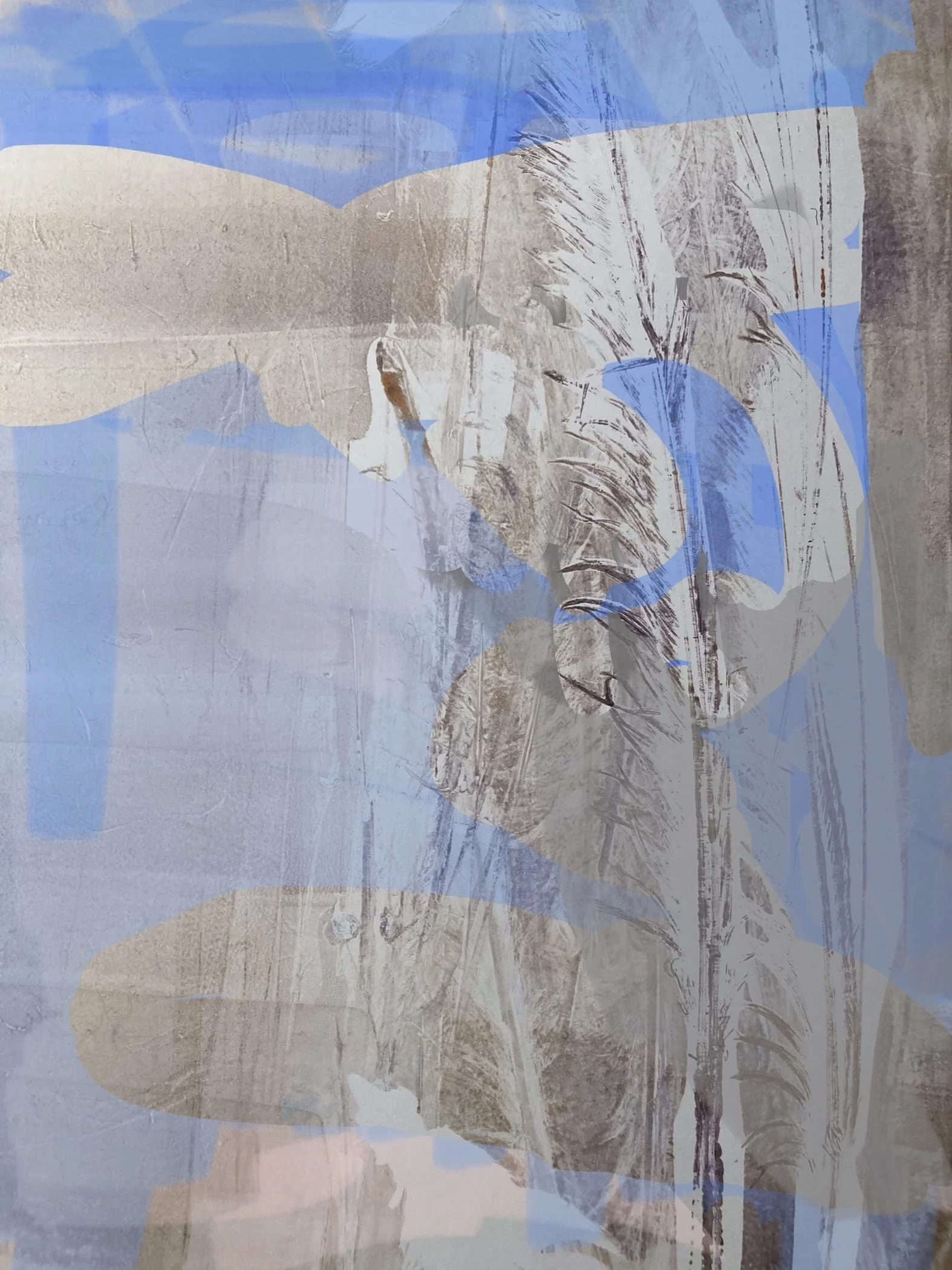 Pintos Fine Art Print | kath abiker