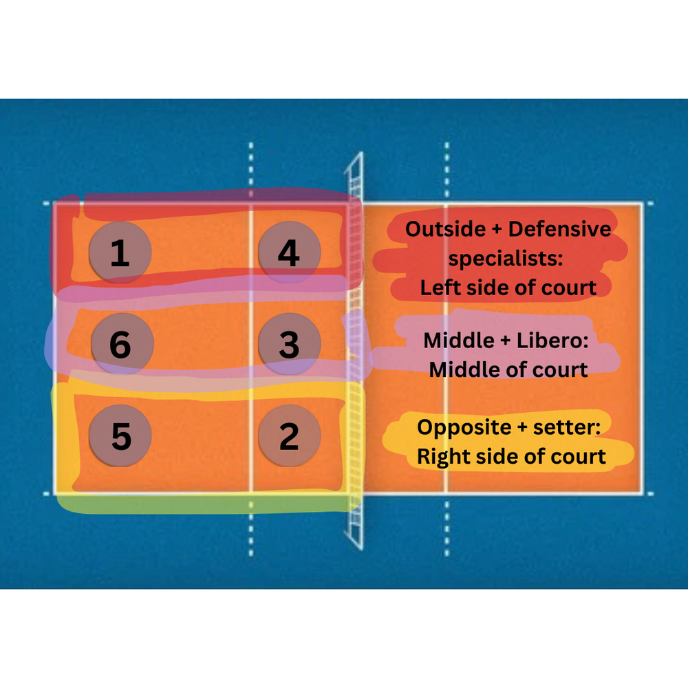What do these common volleyball terms mean? (Serve receive, serving ...