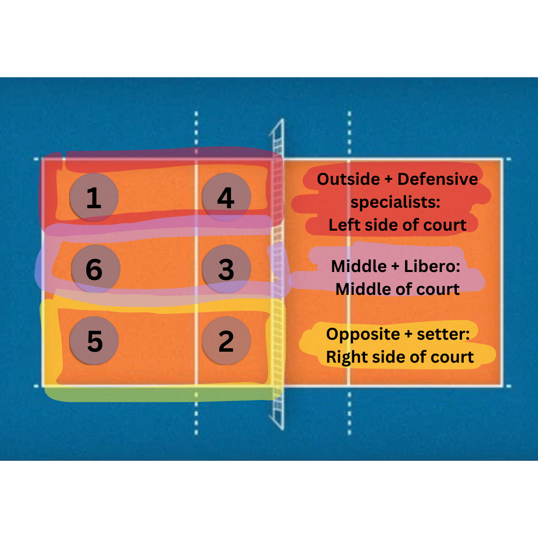 What do these common volleyball terms mean? (Serve receive, serving ...