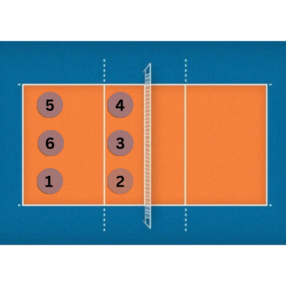 What do these common volleyball terms mean? (Serve receive, serving ...