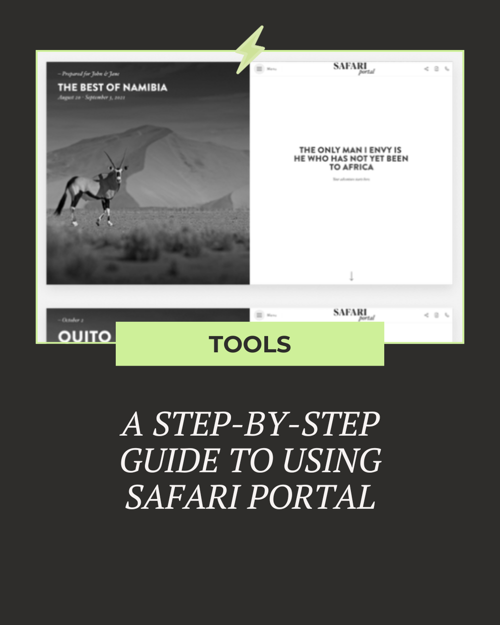 Should I Use Safari Portal as a travel company? — The Boutique COO