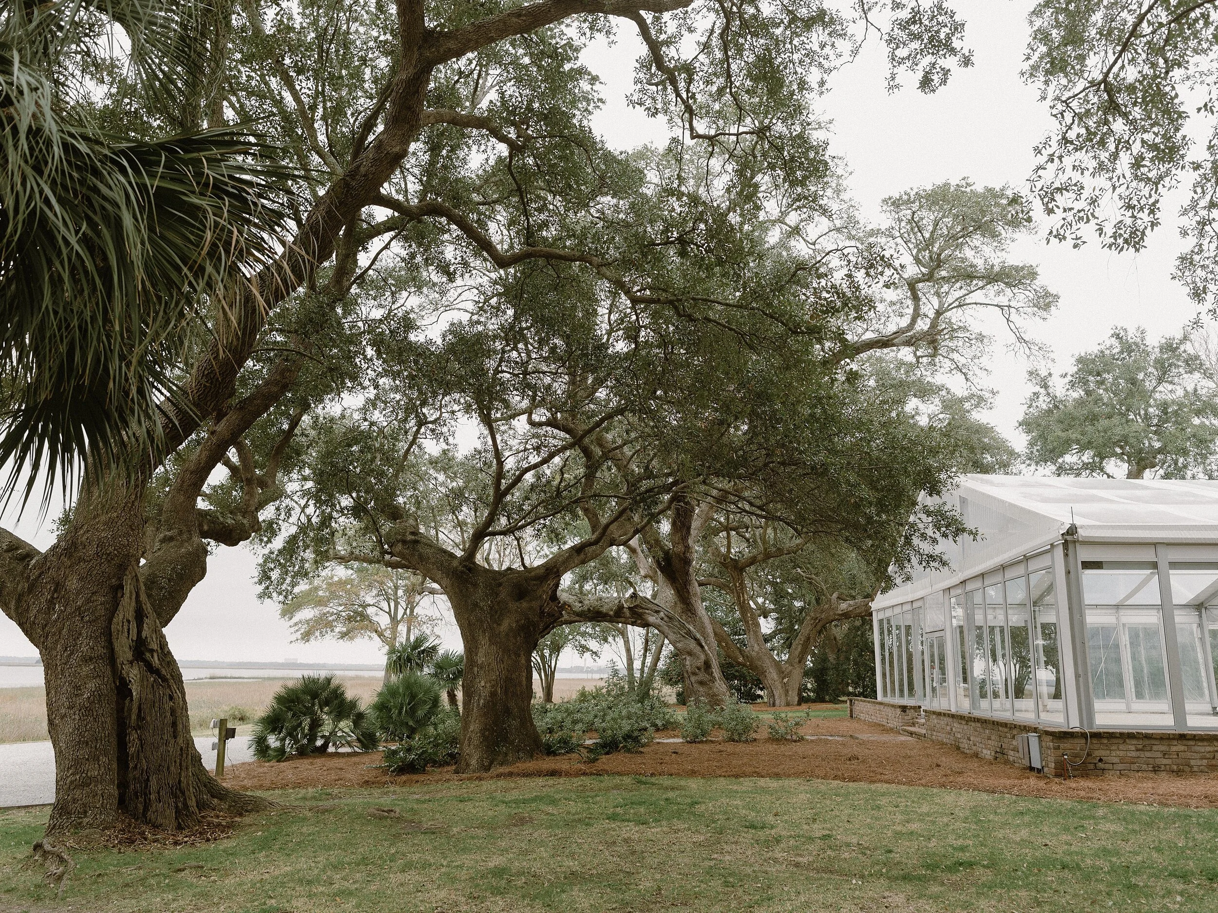 Lowndes Grove | Charleston Wedding Venue — Taylor English Photography