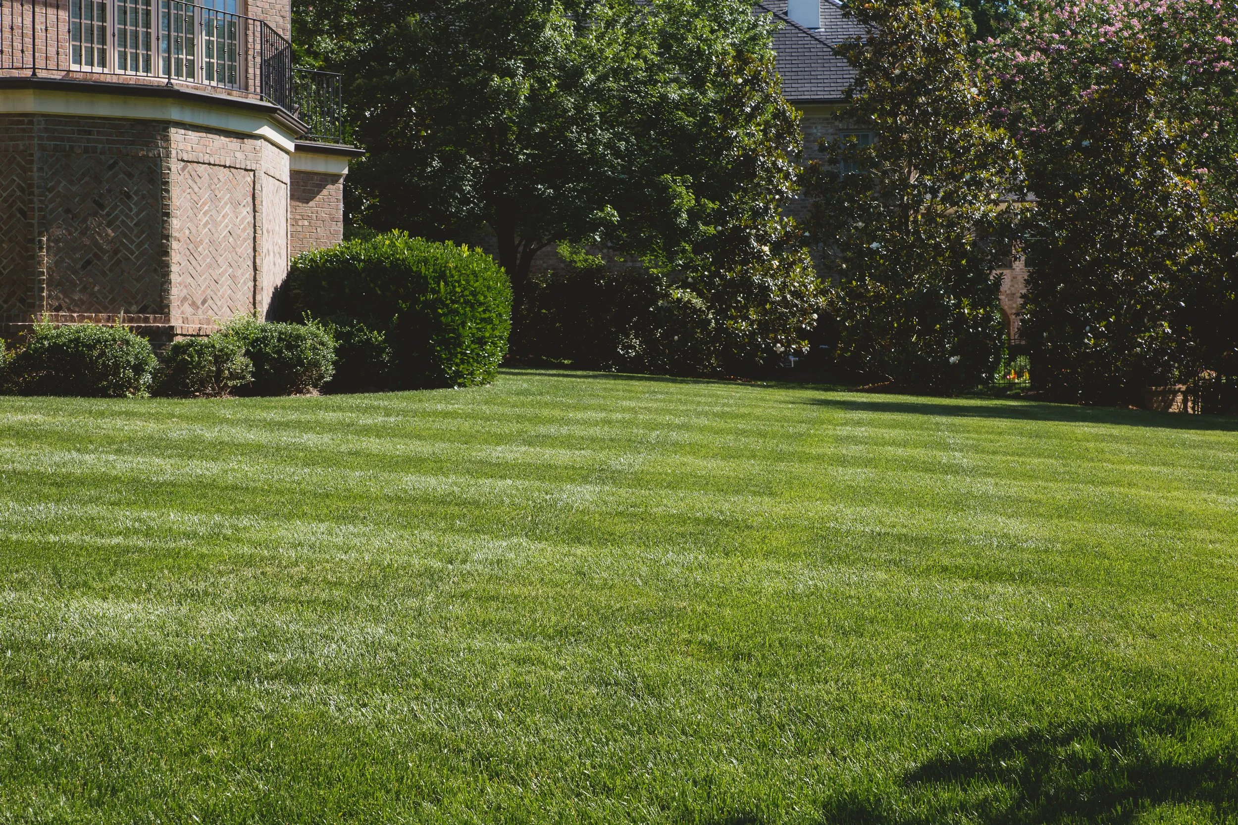 Our Work — Progreen Landscape Solutions