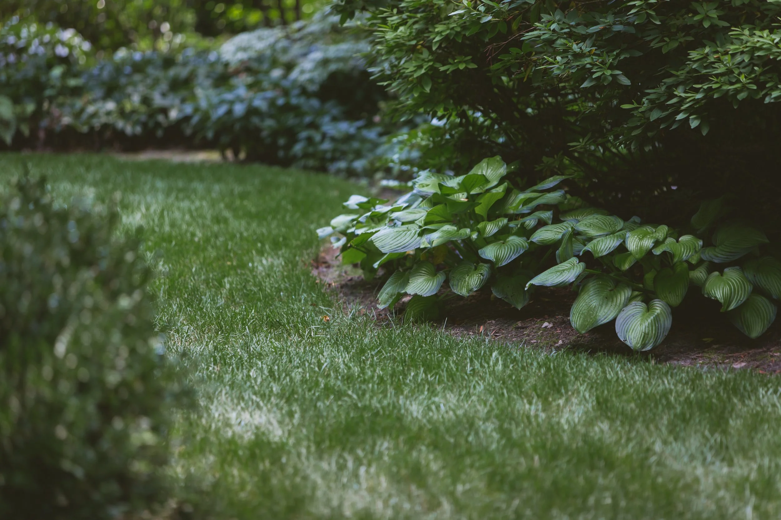 Progreen Landscape Solutions