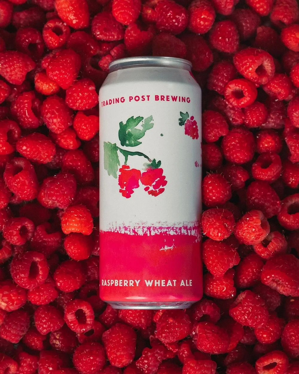 Beer — Trading Post Brewing