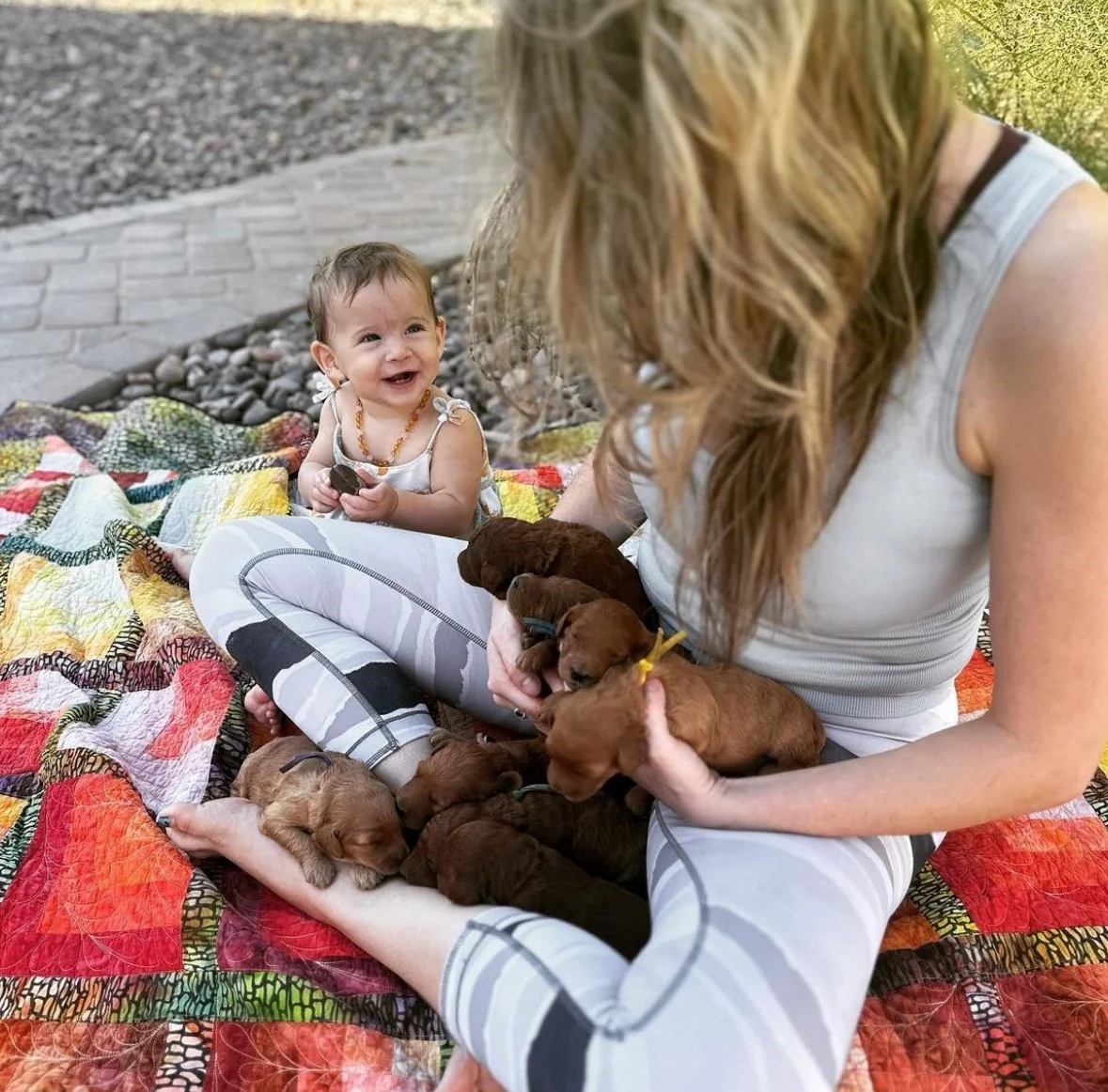 How a Goldendoodle, the Best Dog Can Help a Person with Autism ...