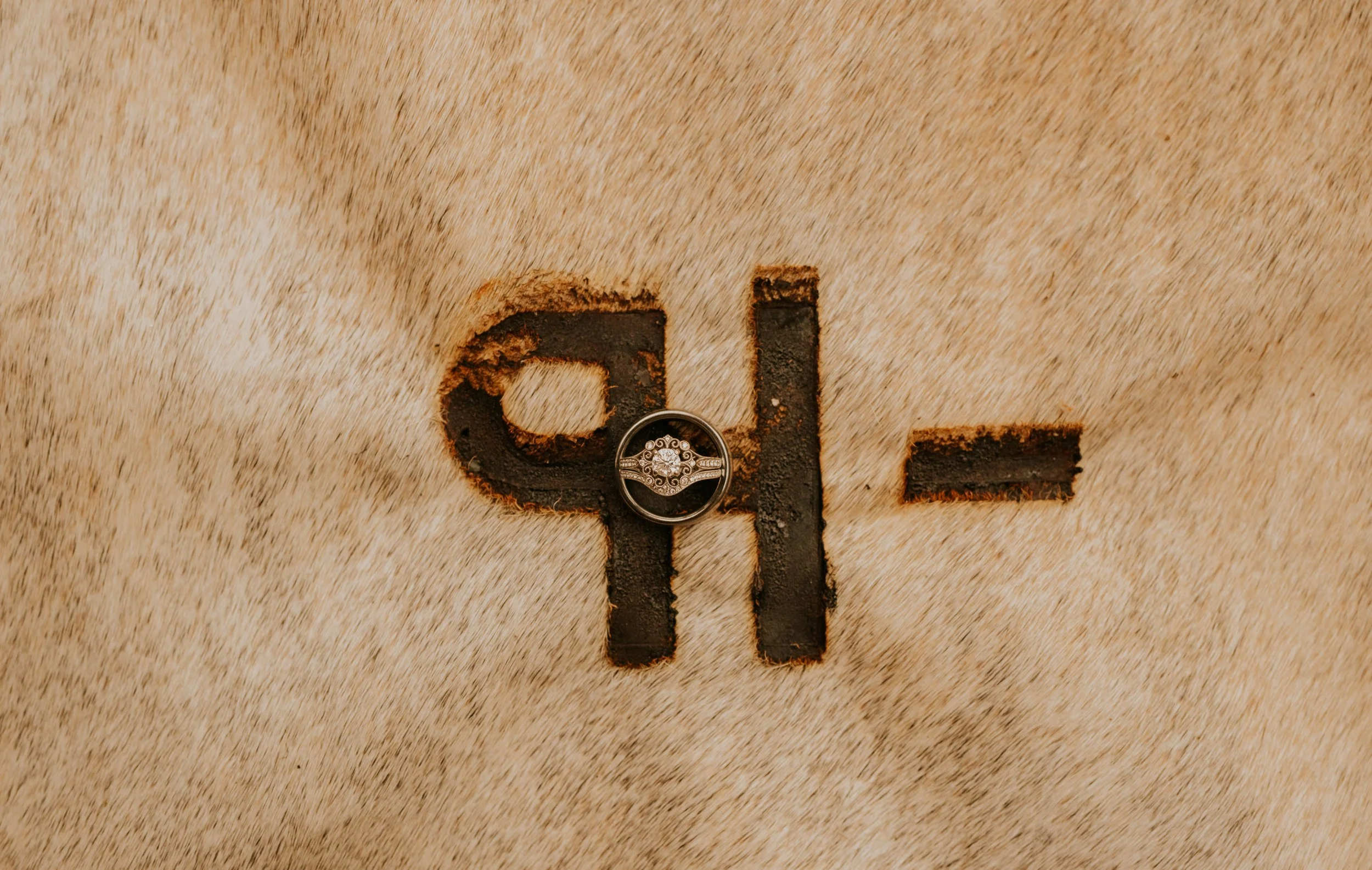 What is a Branding Unity Ceremony in Western Weddings — Miss Millers ...