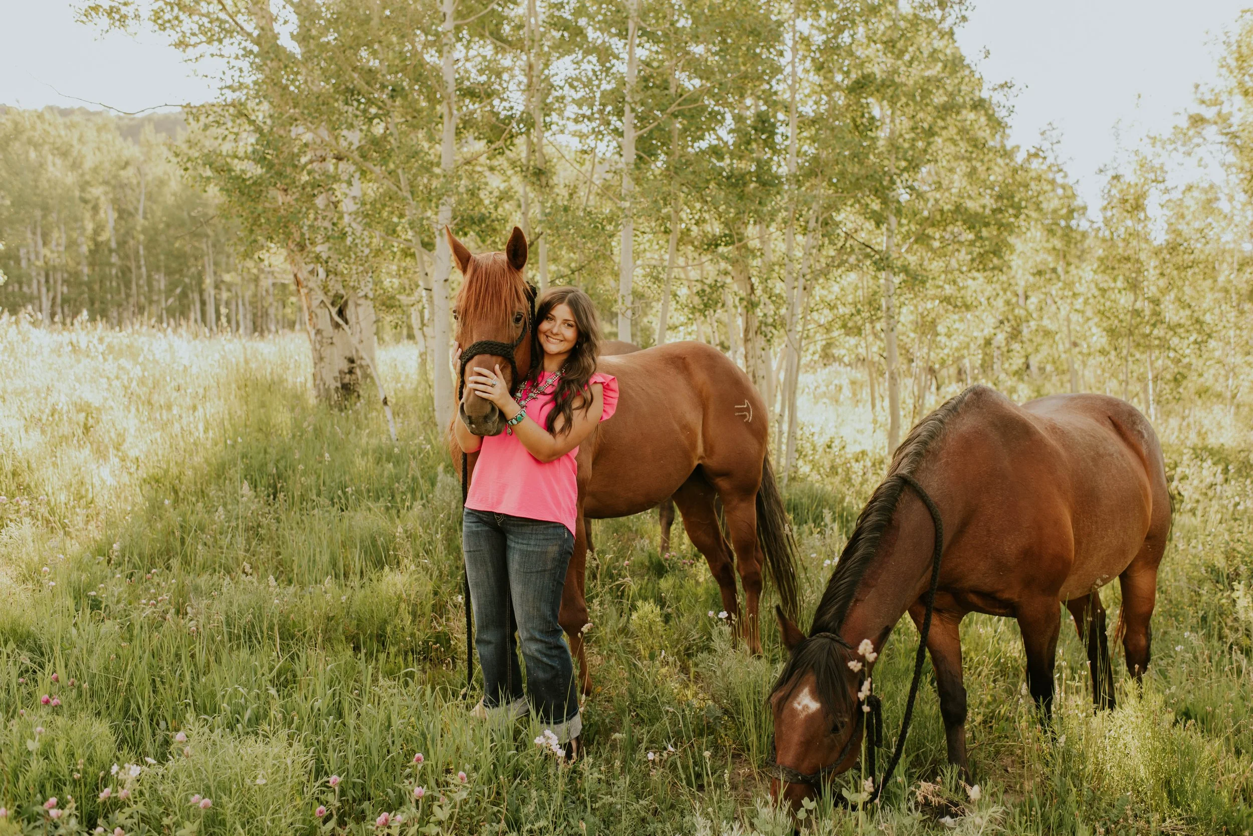 Essence of a Heart Horse: A Bond Beyond Words — Miss Millers ...