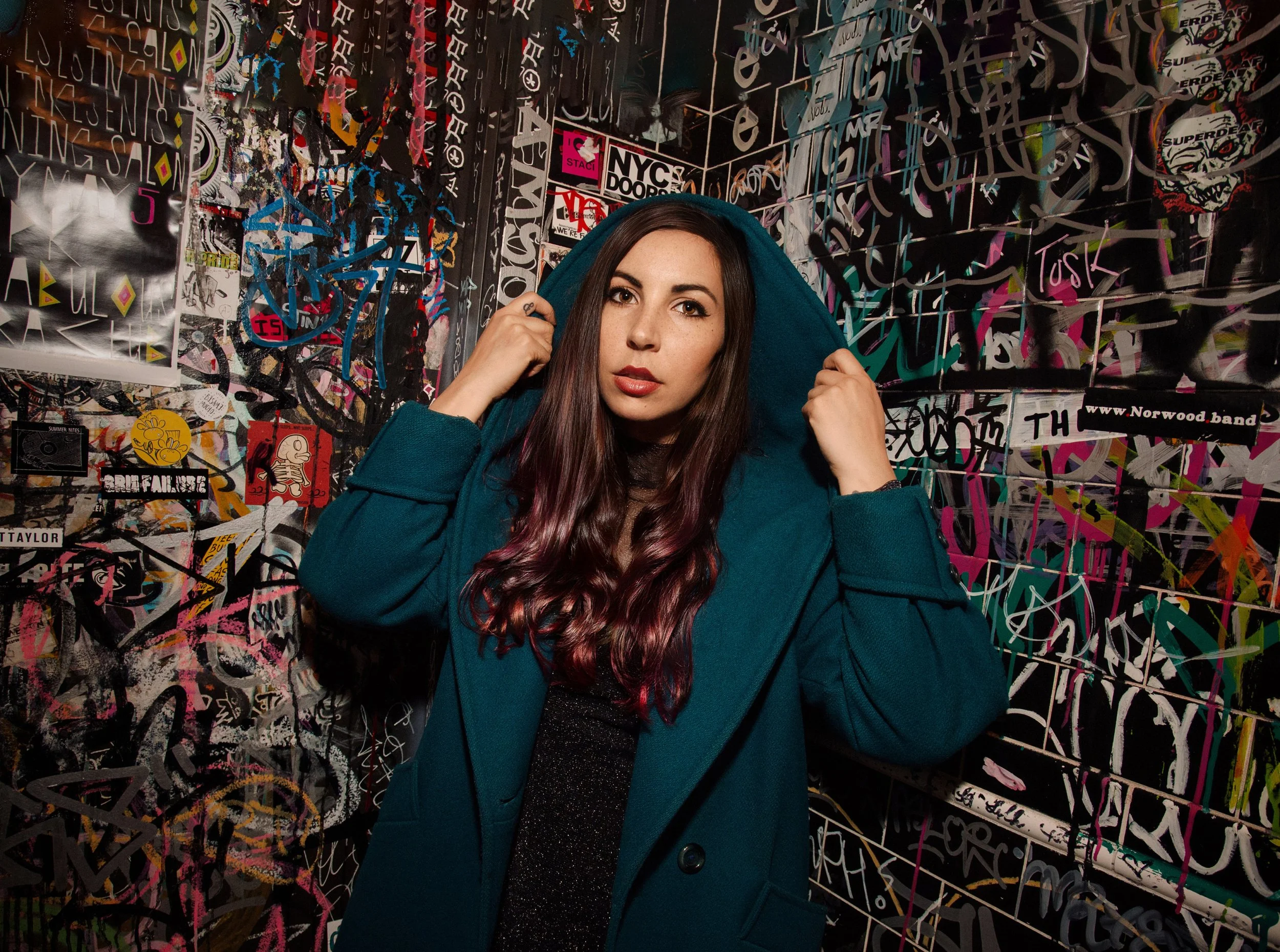 The Writing on the Stall — Caitlin Cook