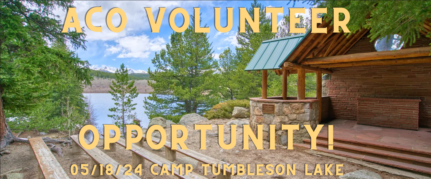 Announcements — Blog 1 — Alliance LARP Colorado