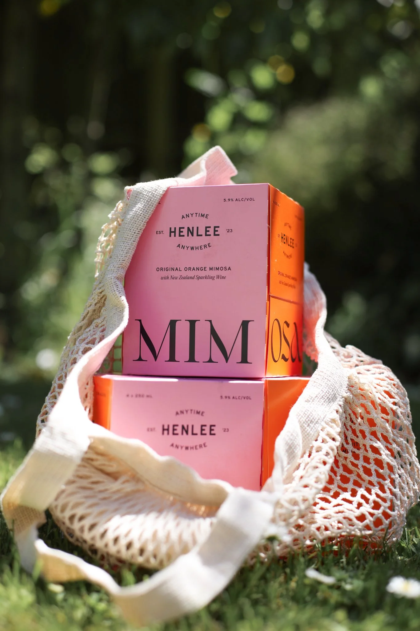 Henlee Mimosa