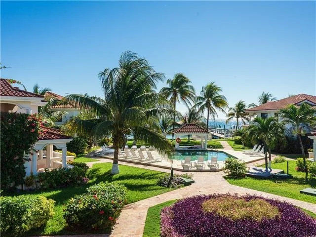 Meeting of the Mayans Week 2 — Tropications