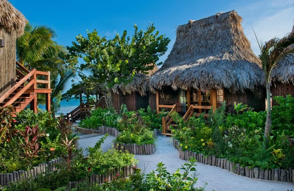 Meeting of the Mayans Week 1 — Tropications