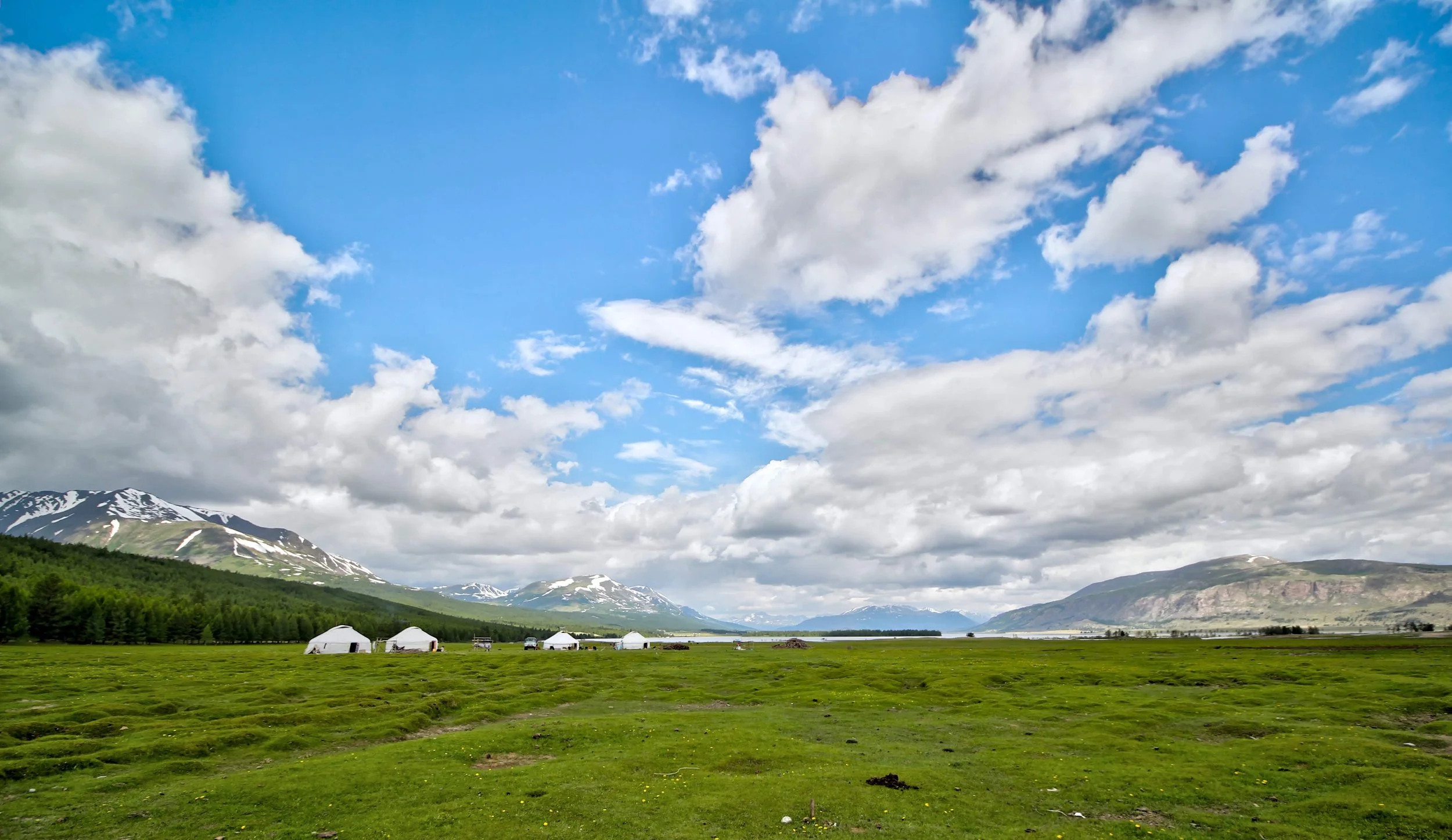 "Authentic Mongolian Nomadic Family Homestay Experience: Immerse in ...