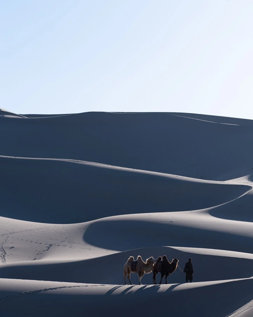 Sayat Travel – Mongolia Tours & Adventures