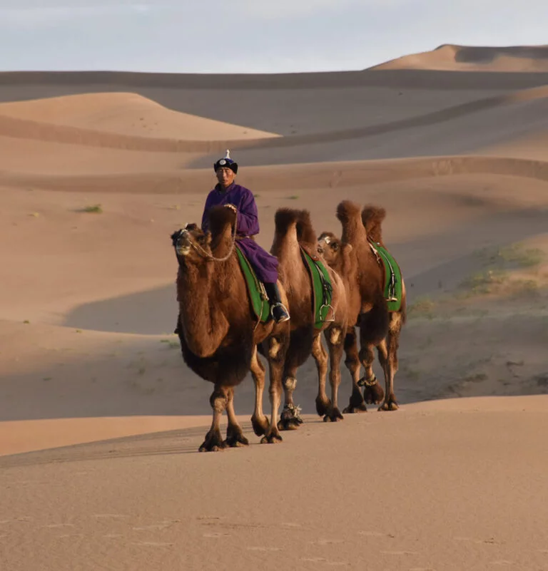 Explore the Diverse Beauty of Mongolia's Gobi Desert — Sayat Travel
