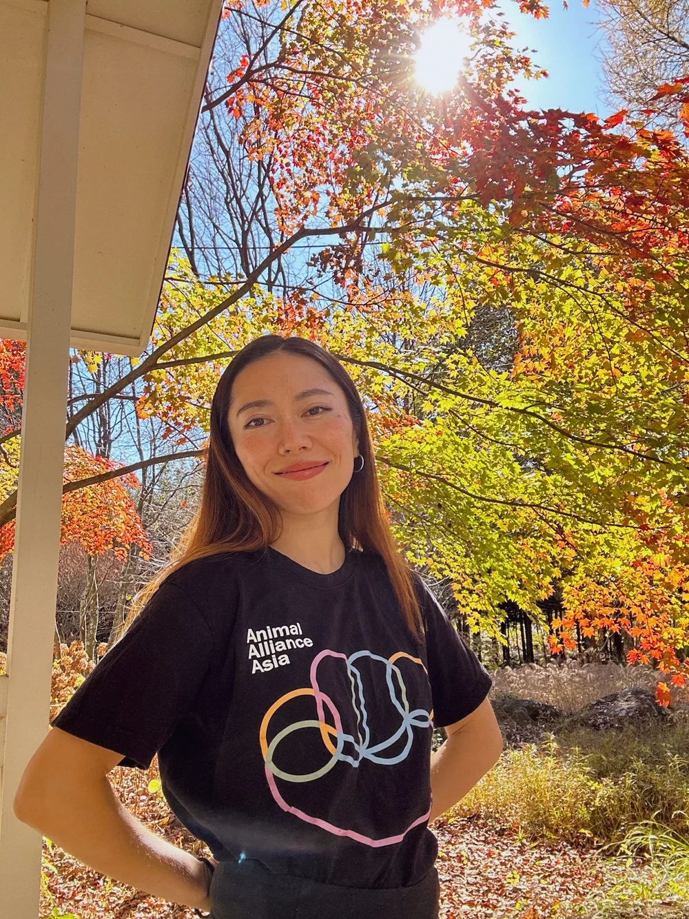 About — Animal Alliance Asia