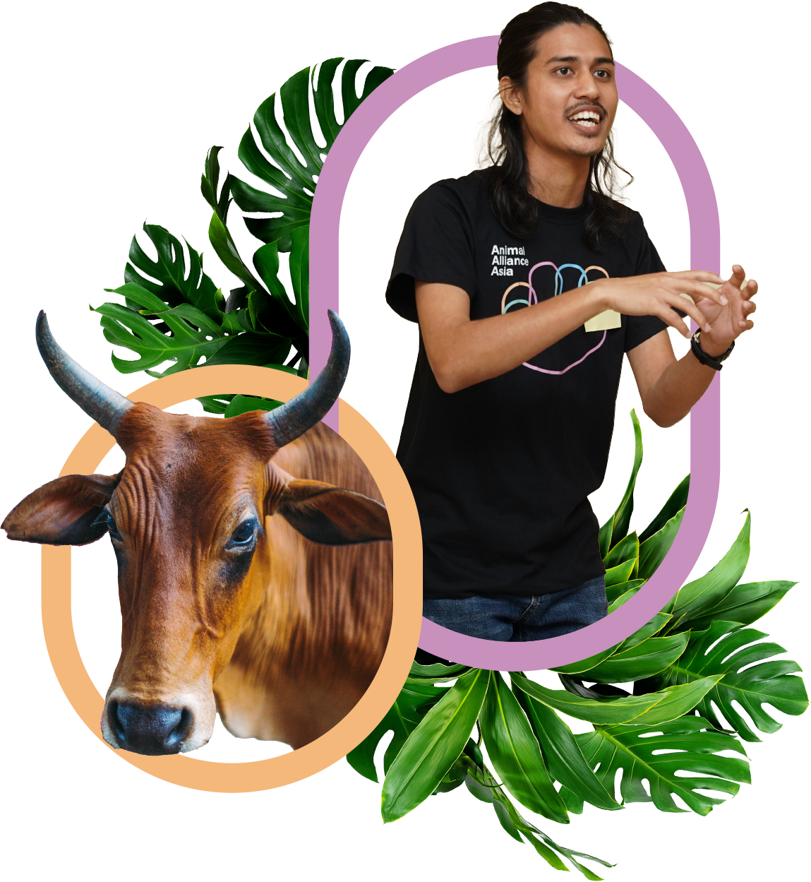 Animal Alliance Asia