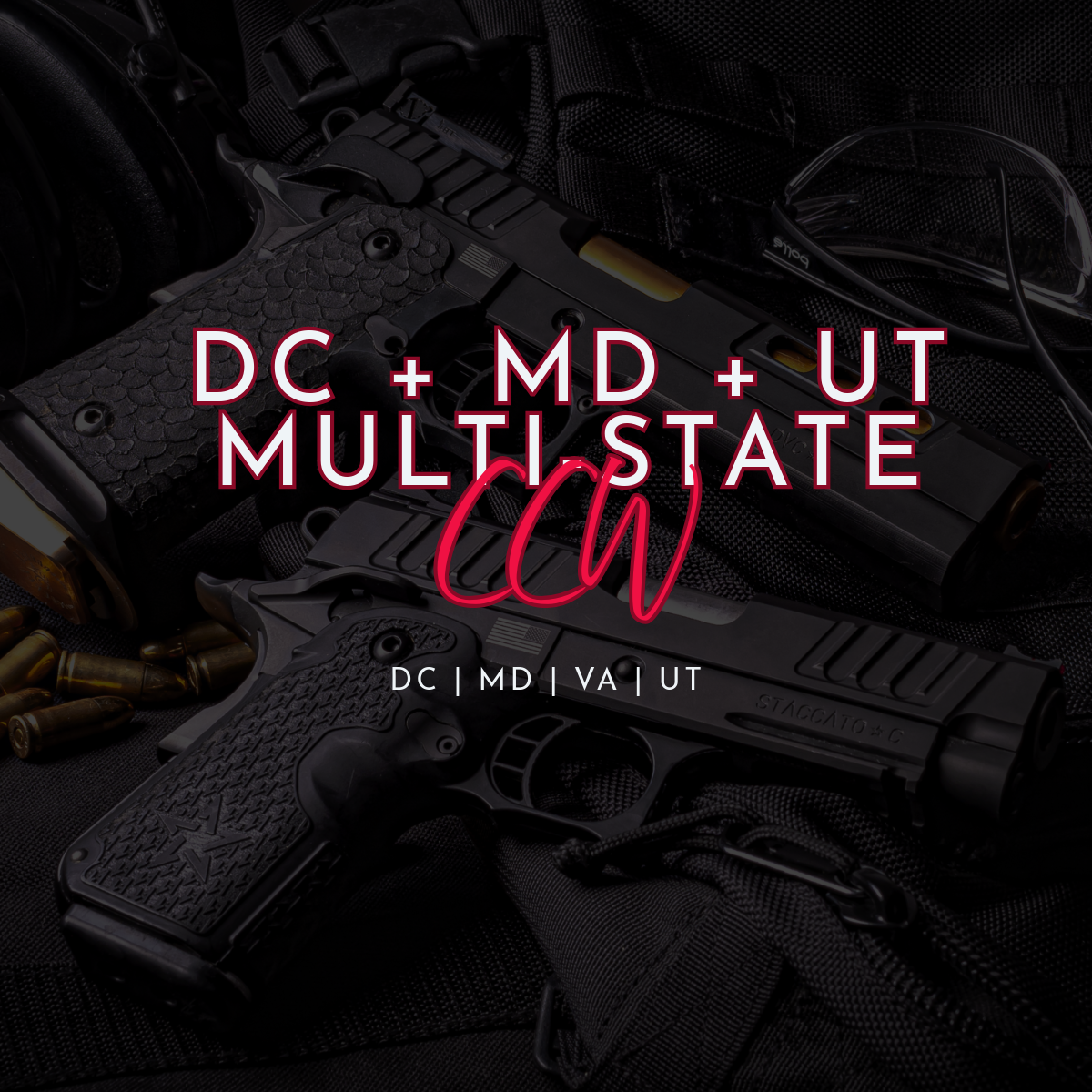 Multi-State Max! Carry Permit Training Course — DMV CARRY