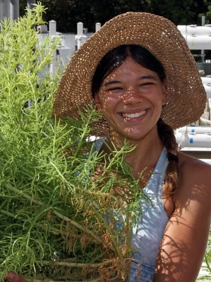 What We Do — Queen Conch Lab