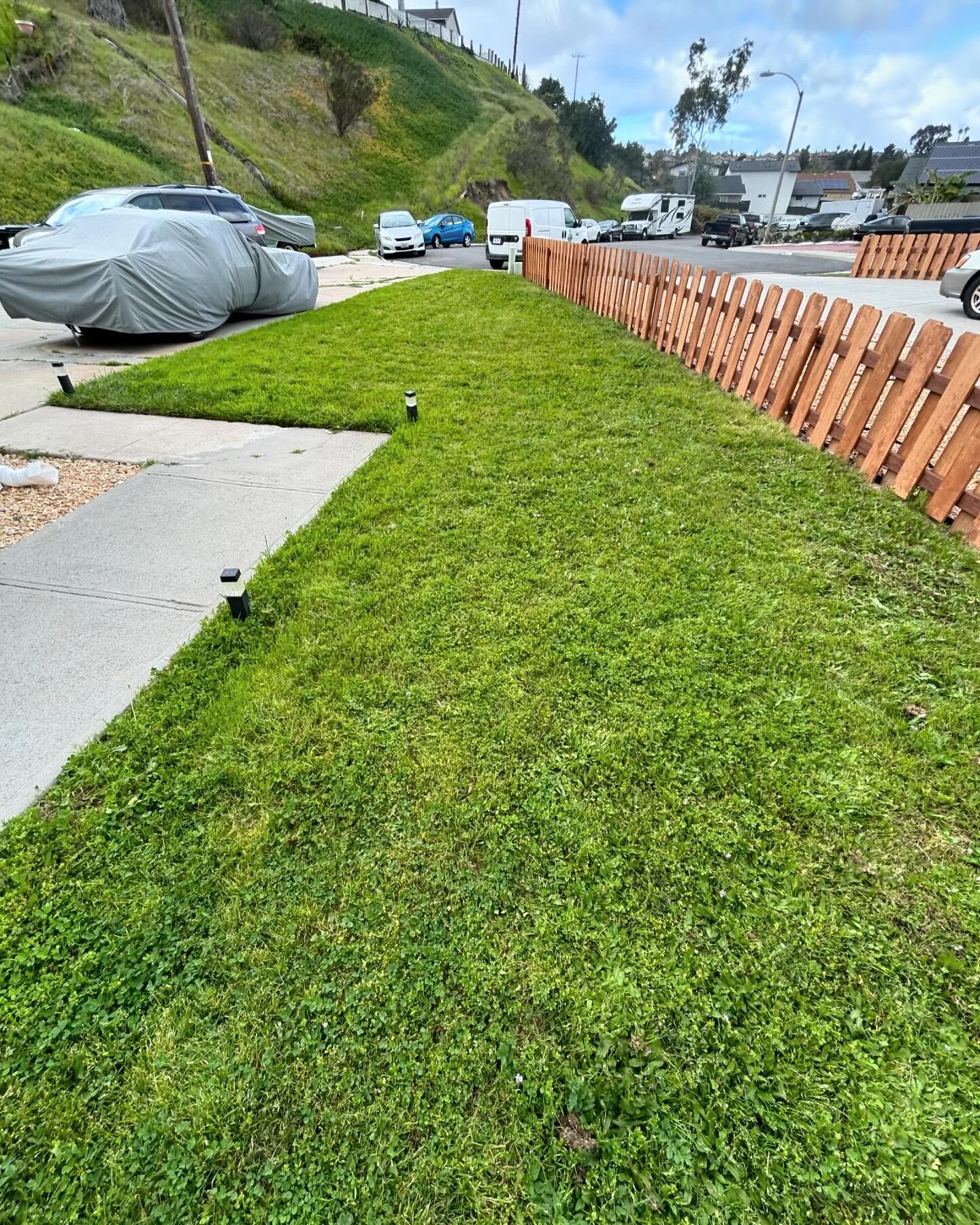 That Aeration Guy! Beautiful real lawns grown from seed! Green grass!